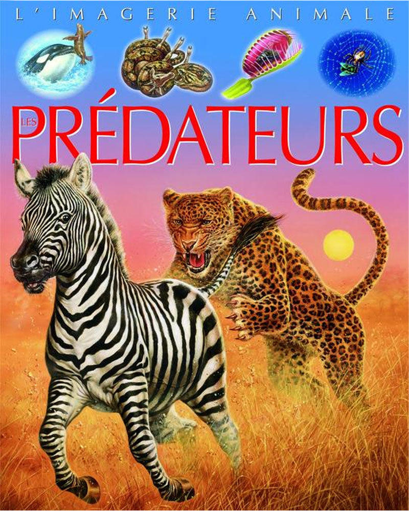 The Big Imagery - Predators | Wlidaty Morocco - #1 Family E-Commerce ...